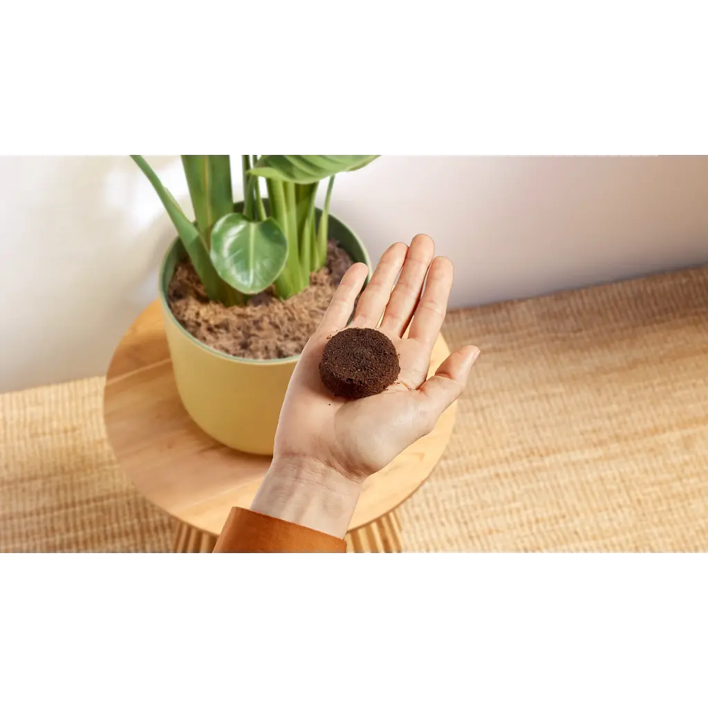 VersuniB2CApp